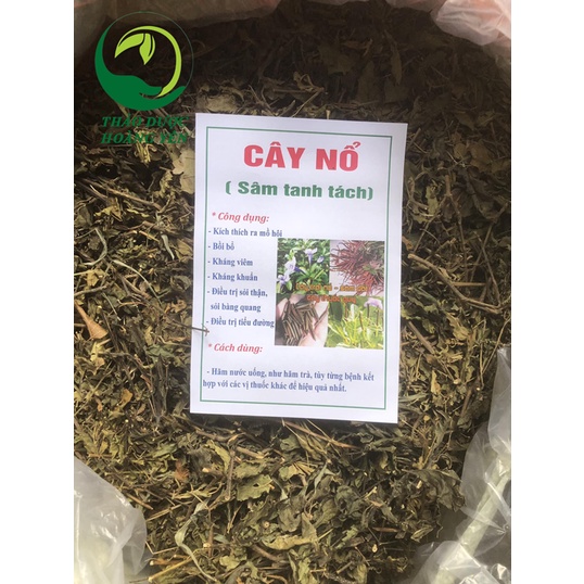 cây sâm tanh tách 1kg | Shopee Việt Nam