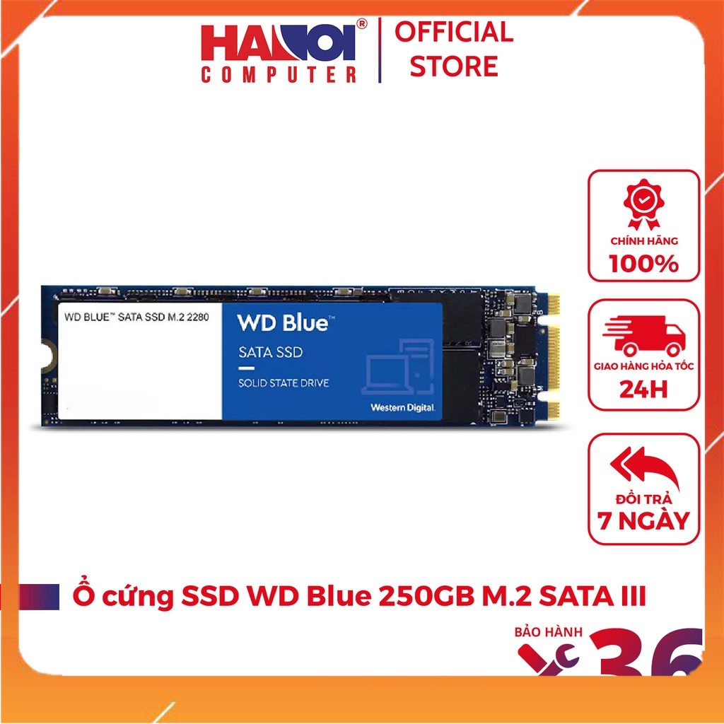 Ổ cứng SSD WD Blue 250GB M.2 SATA III (Đọc 550MB/s - Ghi 525MB/s) - (WDS250G2B0B) | Shopee Việt Nam