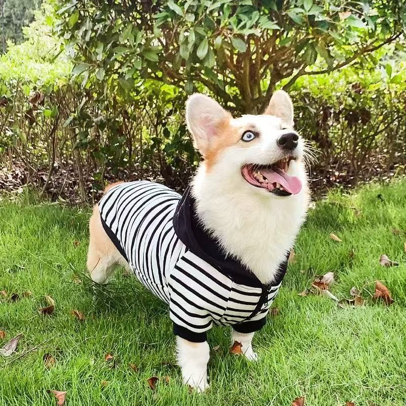 Áo cho chó Corgi/Bull, vải co giãn, thoải mái cho chó nhỏ & vừa ...