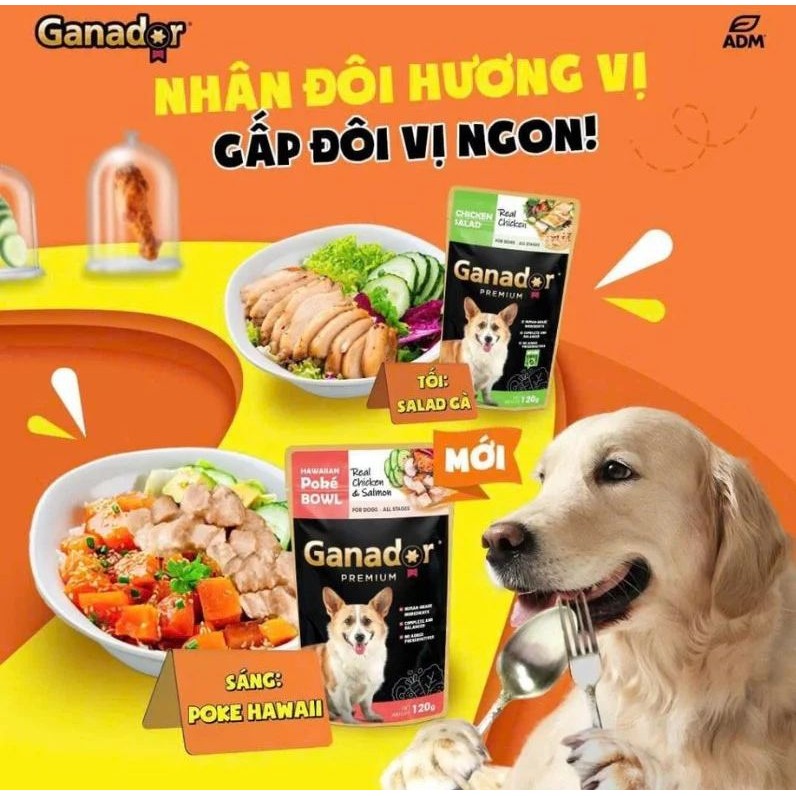 [COMBO] Pate Ganador [ 120g ] dành cho Chó Mọi lưới tuổi Pet Kool | Shopee Việt Nam