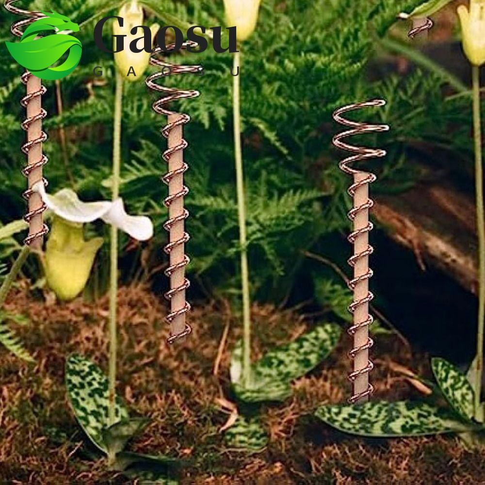 Gaosu Electroculture Plant cọc, Thanh gỗ đồng làm vườn Ăng-ten cuộn dây ...