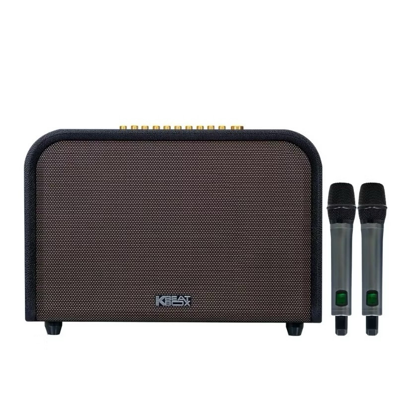 Loa karaoke Acnos Acoustic 3 Công Suất 1000W (PMPO)Kèm 2 Micro Chống Hú Cao Cấp- Hàng Chính Hống ...