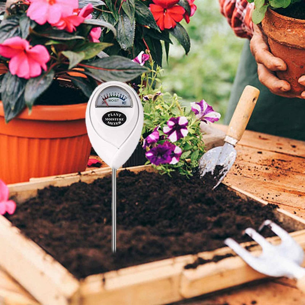 Moisture Meter For House Plants Digital Plant Thermometer Soil ...