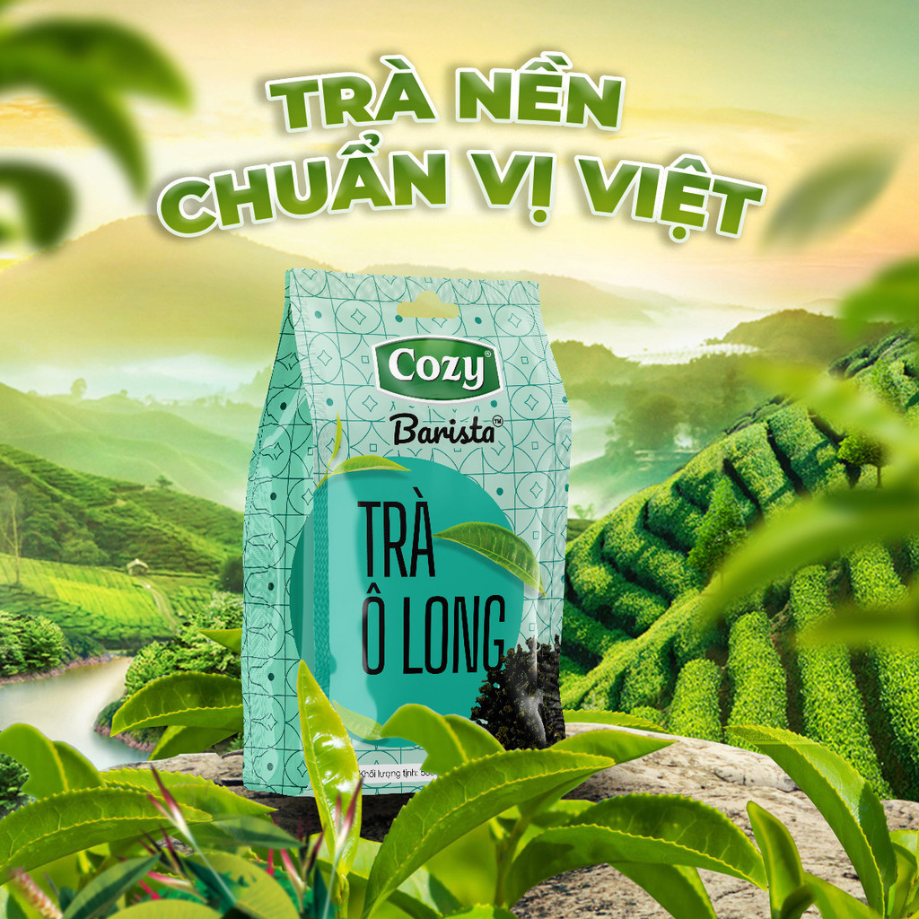 Trà Ô Long Cozy Barista Cao Cấp 500gr, giống trà Ô Long thuần chủng ...