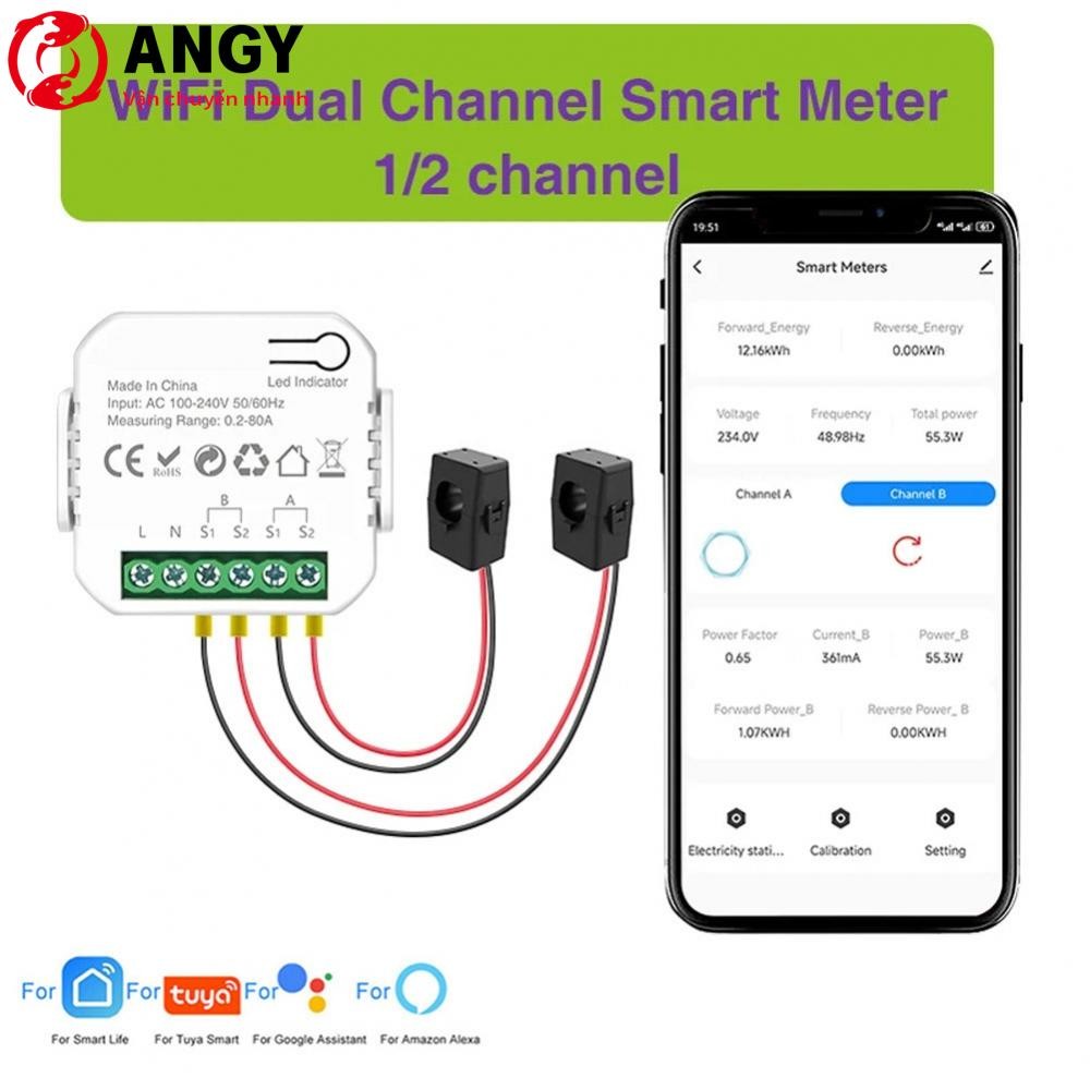 Real Time Power Monitoring with For Tuya WiFi Smart Energy Meter and ...