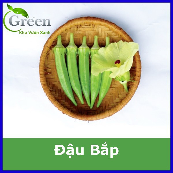 Hạt Giống Đậu Bắp Trái Xanh OP GFGHF (siêu sơm được kiểm tra hàng ...