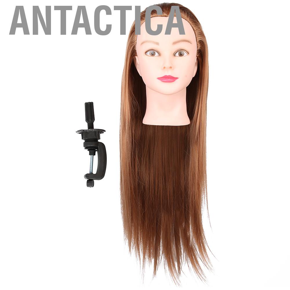 Antactica Wig Hair Mannequin Head Styling Braiding Salon Training ...
