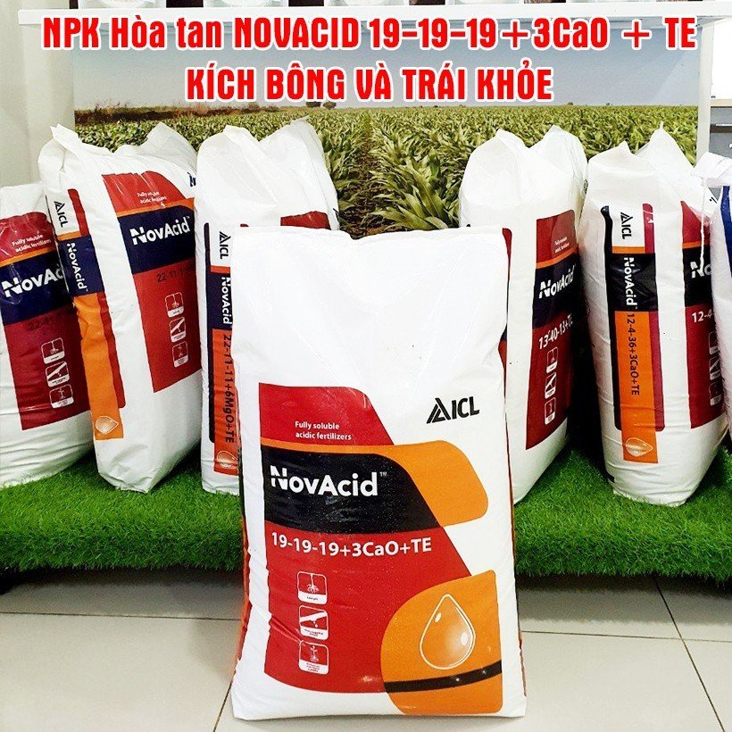 (Bao 25kg) Phân bón lá Israel NPK Novacid 12-4-36+3CaO+Te hòa tan 100% ...