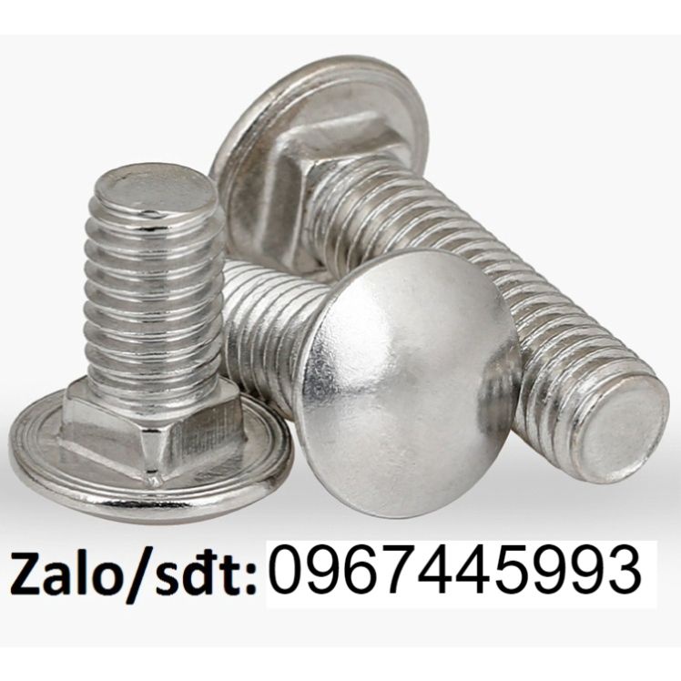 Combo 10 con Bulông đầu tròn cổ vuông inox M6 M8 bulong inox | Shopee ...