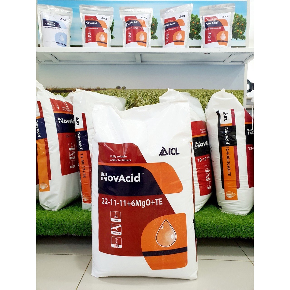 Phân bón hòa tan Israel NPK NovAcid 22-11-11+6MgO+Te (Bao 25KG) giúp ...