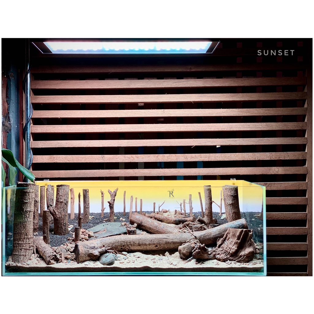 Tấm nền backlight screen Legend (trắng) | Shopee Việt Nam