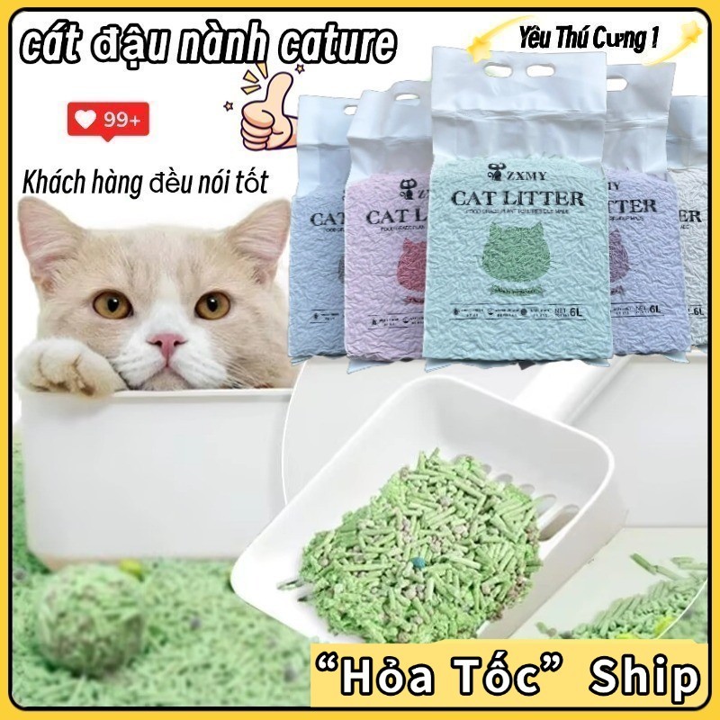 Ship hoả tốc TPHCM, cát cho mèo, cát vệ sinh cho mèo đậu nành, cát đậu ...