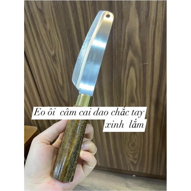 DAO GỌT CÁN GỖ ĐA SỸ KHÔNG GỈ THÉP NHẬT SIÊU SẮC BÉN | Shopee Việt Nam