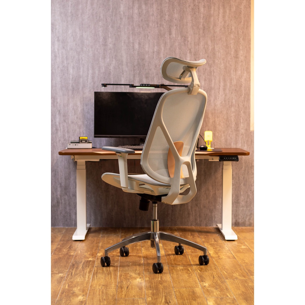 Ghế Công Thái Học VChair LINO Chair | Shopee Việt Nam