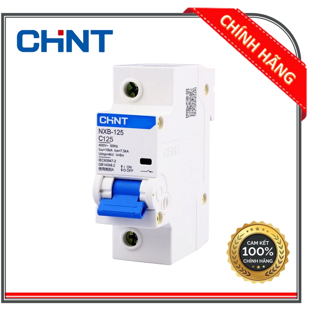 (HCM) MCCB LOẠI NXB-125 CHINT MCB 1P 2P 3P 80A/100A/125A - Dòng cắt ...