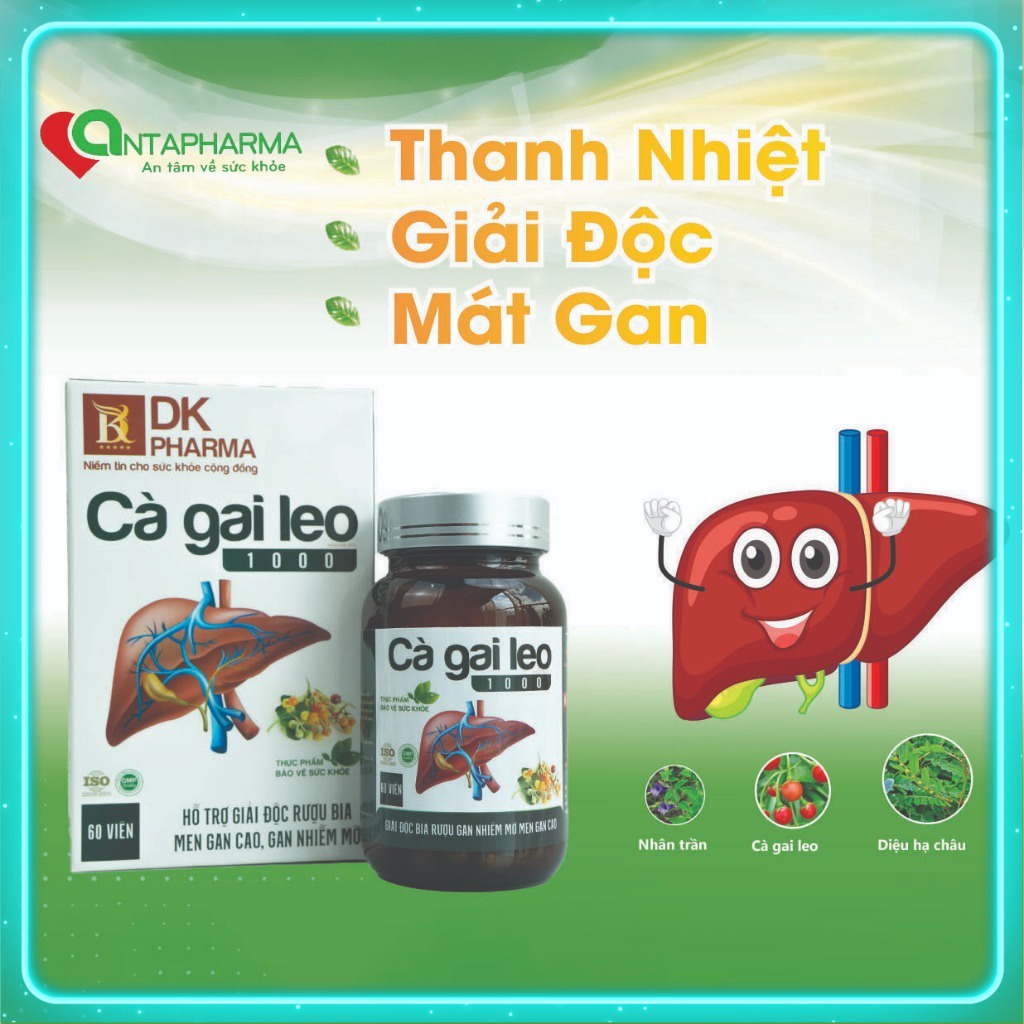 Bổ gan Cà Gai Leo DK Pharma hỗ trợ mát gan, giải độc, hạ men gan, tăng cường chức năng gan (Lọ ...