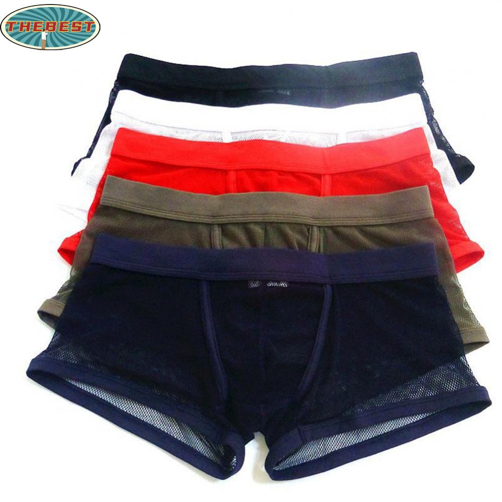 Men's Sexy Sheer Mesh Boxer Briefs Underwear Shorts Trunks with Tag ...