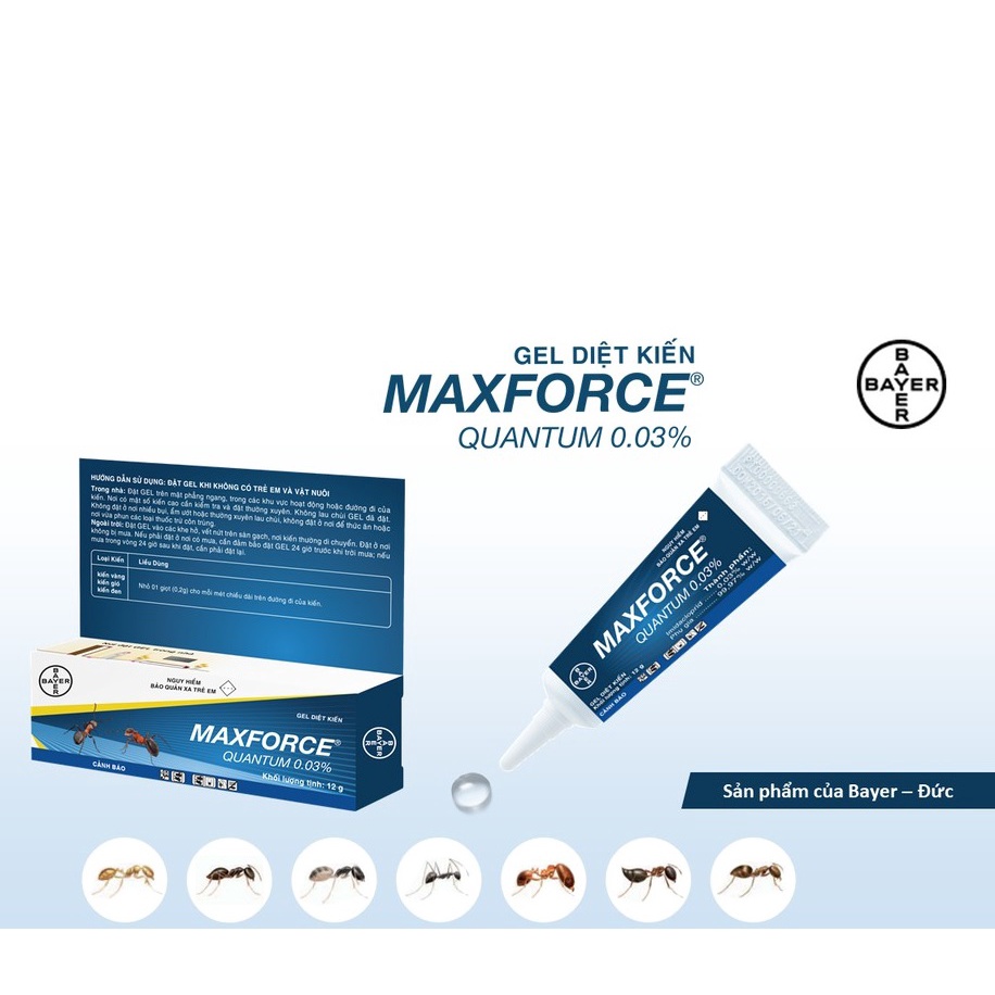 Bả Diệt Kiến Bayer Maxforce Quantum - Thương hiệu: Bayer – Đức | Shopee ...