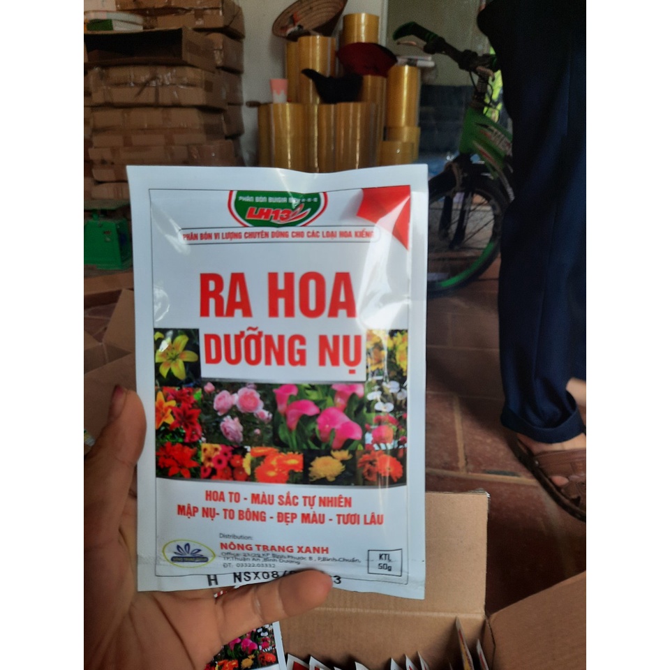 RA HOA DƯỠNG NỤ kích ra hoa to mập nụ lâu tàn - gói 50gr | Shopee Việt Nam