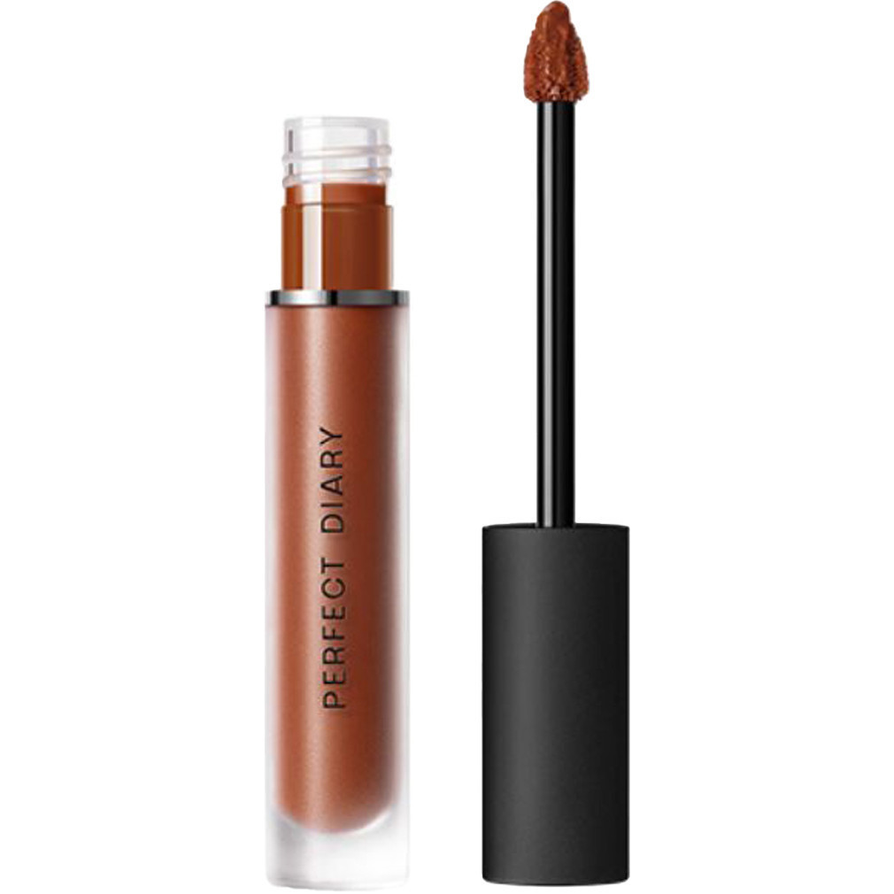 Son Kem Perfect Diary 2.5g | Shopee Việt Nam