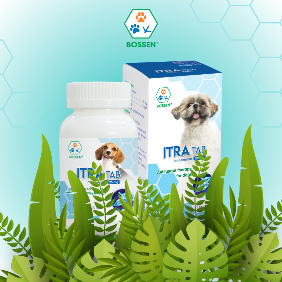 Viên nhai cho chó BOSSEN ITRA TAB hỗ trợ giảm nấm | Shopee Việt Nam