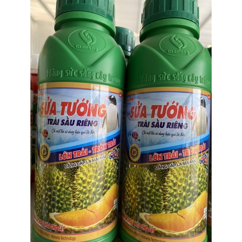 Sửa Tướng Trái Gia Nông - lớn trái tròn trái | Shopee Việt Nam
