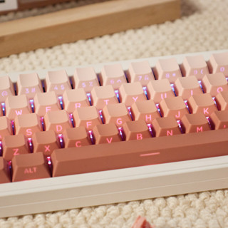 Blush Gradient Pink Keycaps Hộp số ánh sáng bên hông bắn đôi PBT Cherry ...