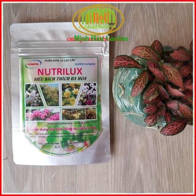 Siêu ra hoa Mai vàng Nutrilux super flower gói 100g phân hóa mầm hoa phun trước khi chuẩn bị ra ...