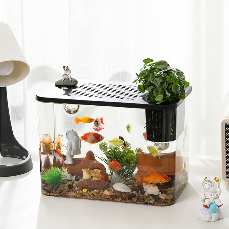 Bể cá phòng khách mini bể cá gia đình lớn nhỏ trong suốt bể cá vàng bể ...