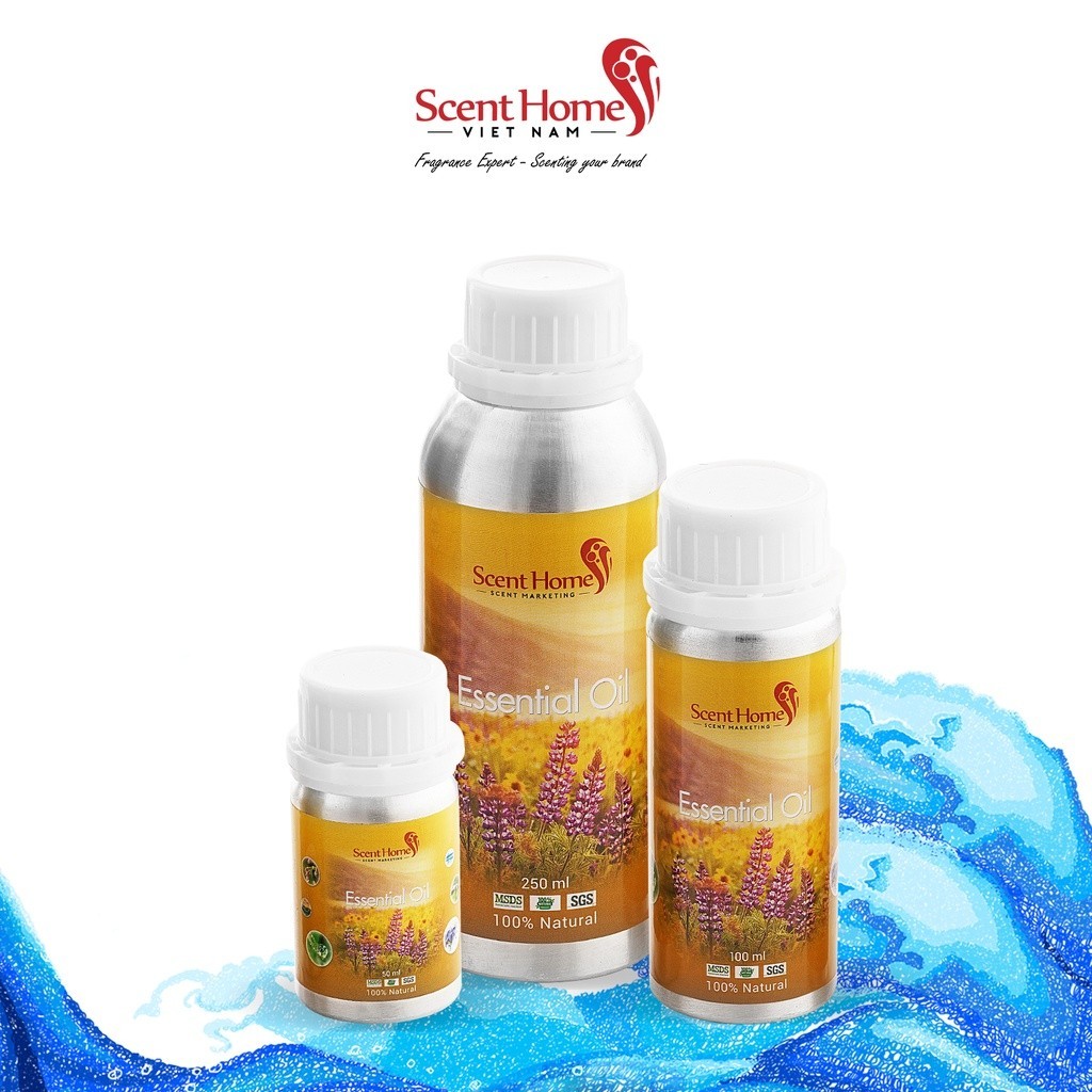 [Chính hãng] Tinh dầu Sea Breeze - ScentHomes ( Sea Breeze- 50ml,100ml,250ml) | Shopee Việt Nam