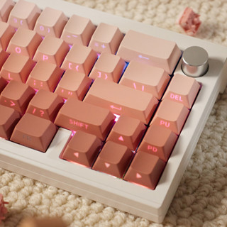 Blush Gradient Pink Keycaps Hộp số ánh sáng bên hông bắn đôi PBT Cherry ...