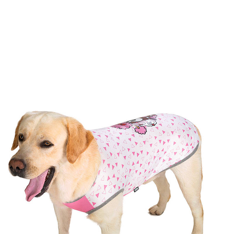 Dog Clothes Spring and Summer Puppy Dog VIP Labrador Small, Medium and ...