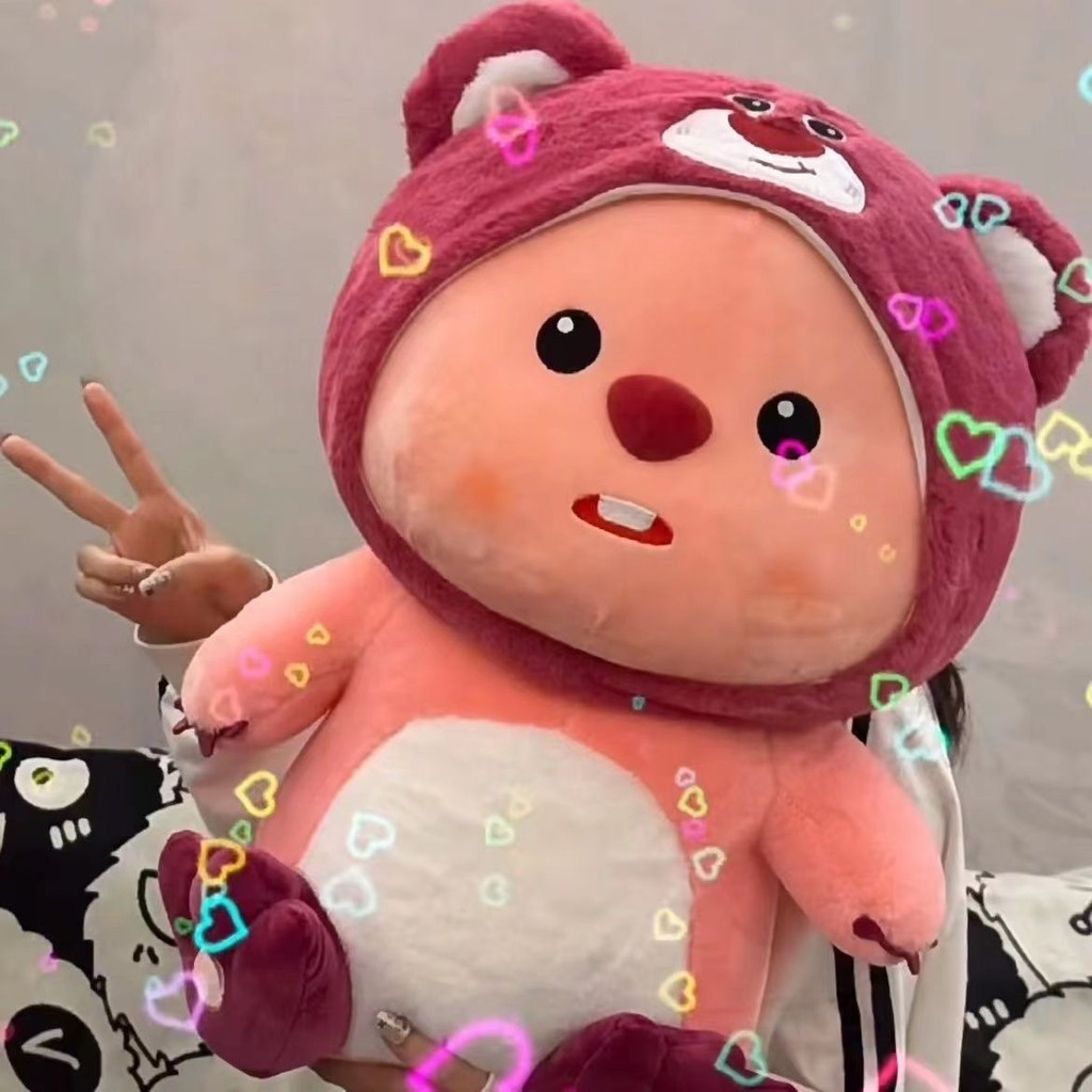 🍓 Loopy Bear 🥰 Hải Ly Hồng Đồ Chơi Gấu Bông quà tặng bạn gái Món quà ...