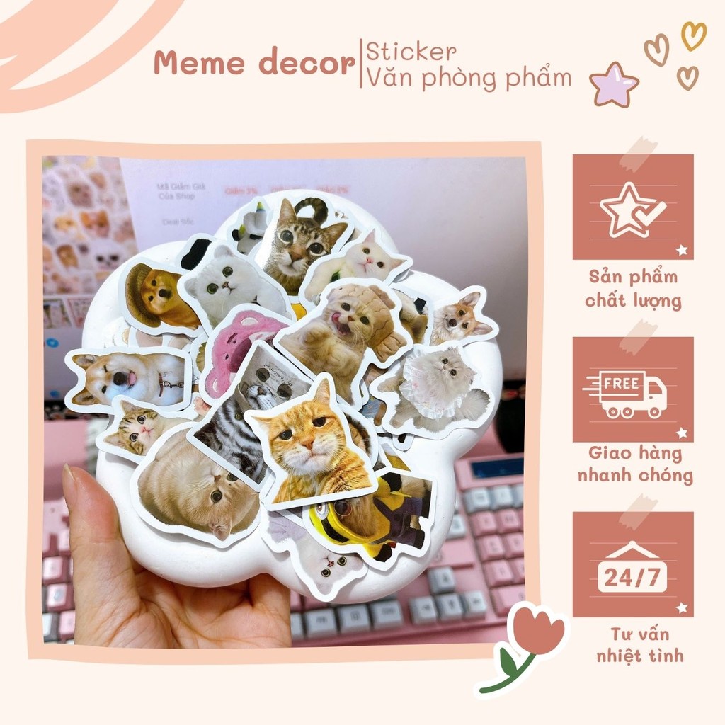 Bộ 120 sticker meme chó mèo hài hước dễ thương hình dán cắt sẵn 3-5cm ...