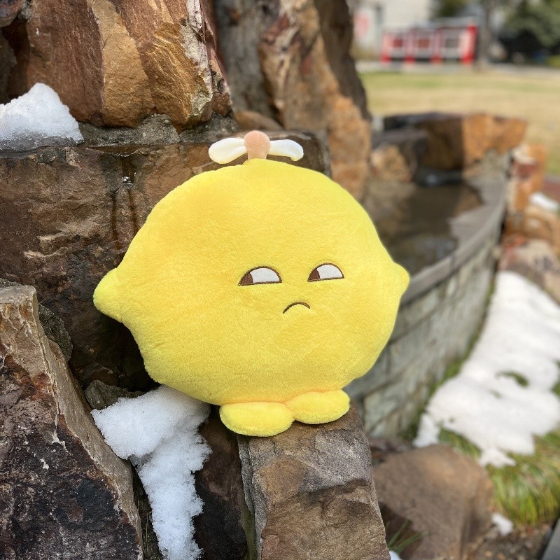 Mow Mow salter Dow Dow Plushies