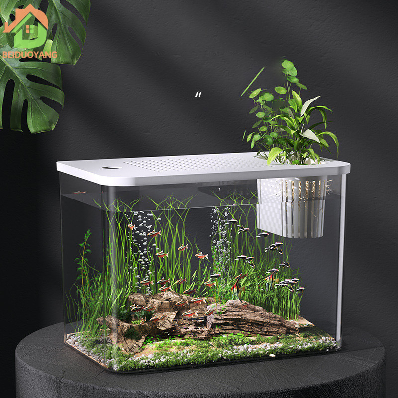 Eco Douyu bể cá mini phòng khách trong suốt bể cá vàng rùa cảnh quan bể ...