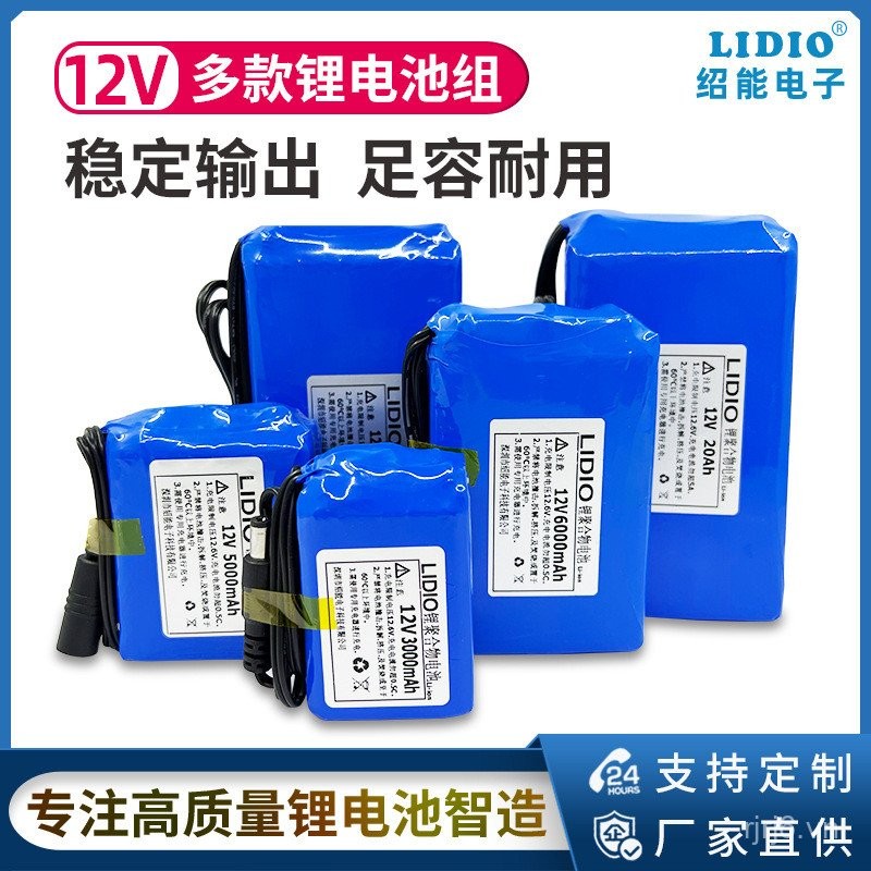 Pin Lithium Polymer 12V Dung Lượng Lớn Có Bảng Bảo Vệ An Toàn Loa Di ...