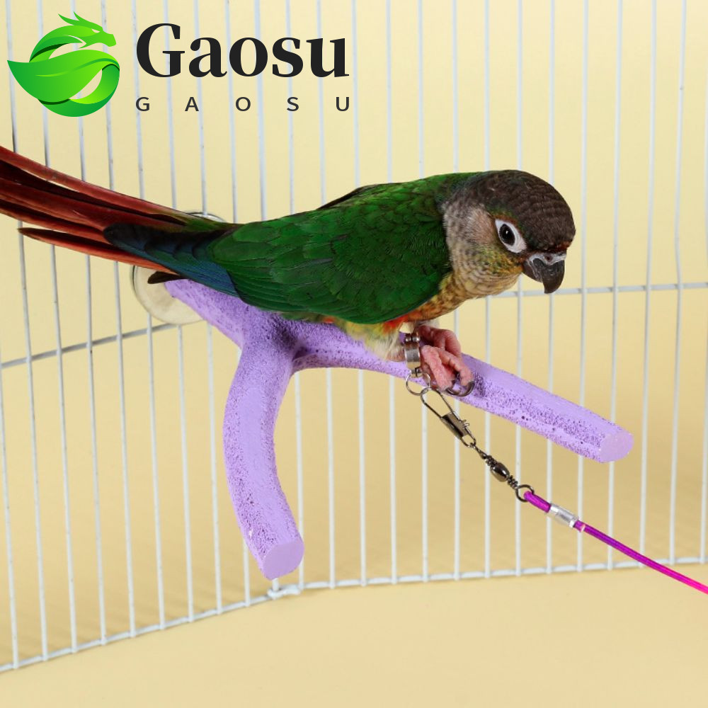 Gaosu Chim Đứng Perches Stick, Chống Trơn Trượt Bề Mặt Thô Mài Chim ...