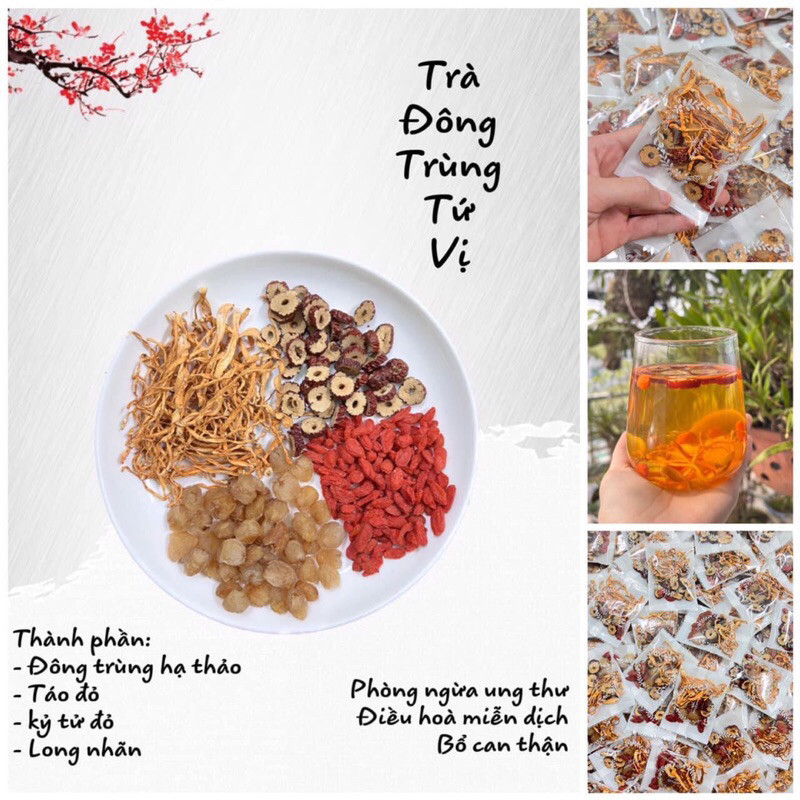 HỘP 30 GÓI TRÀ ĐÔNG TRÙNG TỨ VỊ NGỪA UNG THƯ, ĐIỀU HOÀ MIỄN DỊCH, BỔ ...