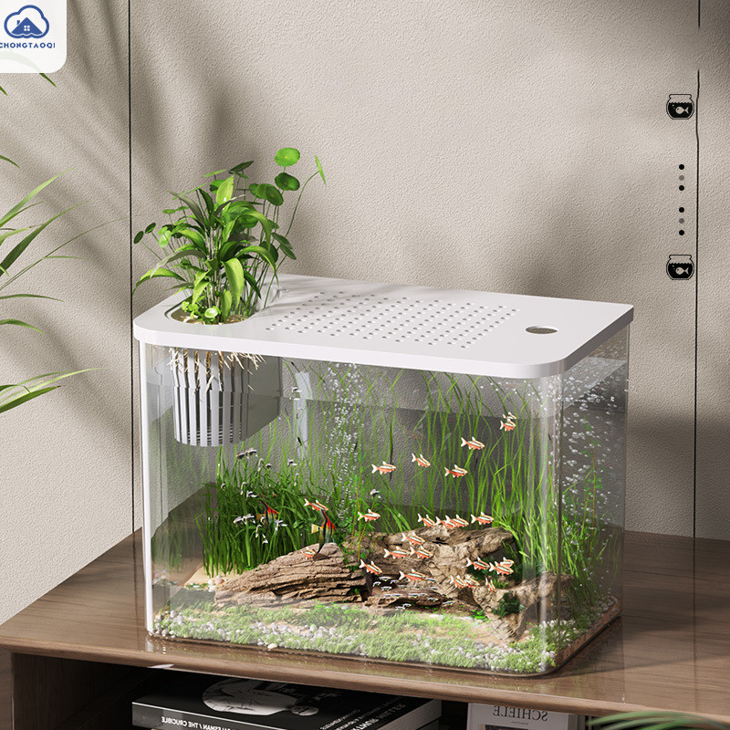 Bể cá phòng khách mini bể cá gia đình lớn nhỏ trong suốt bể cá vàng bể ...