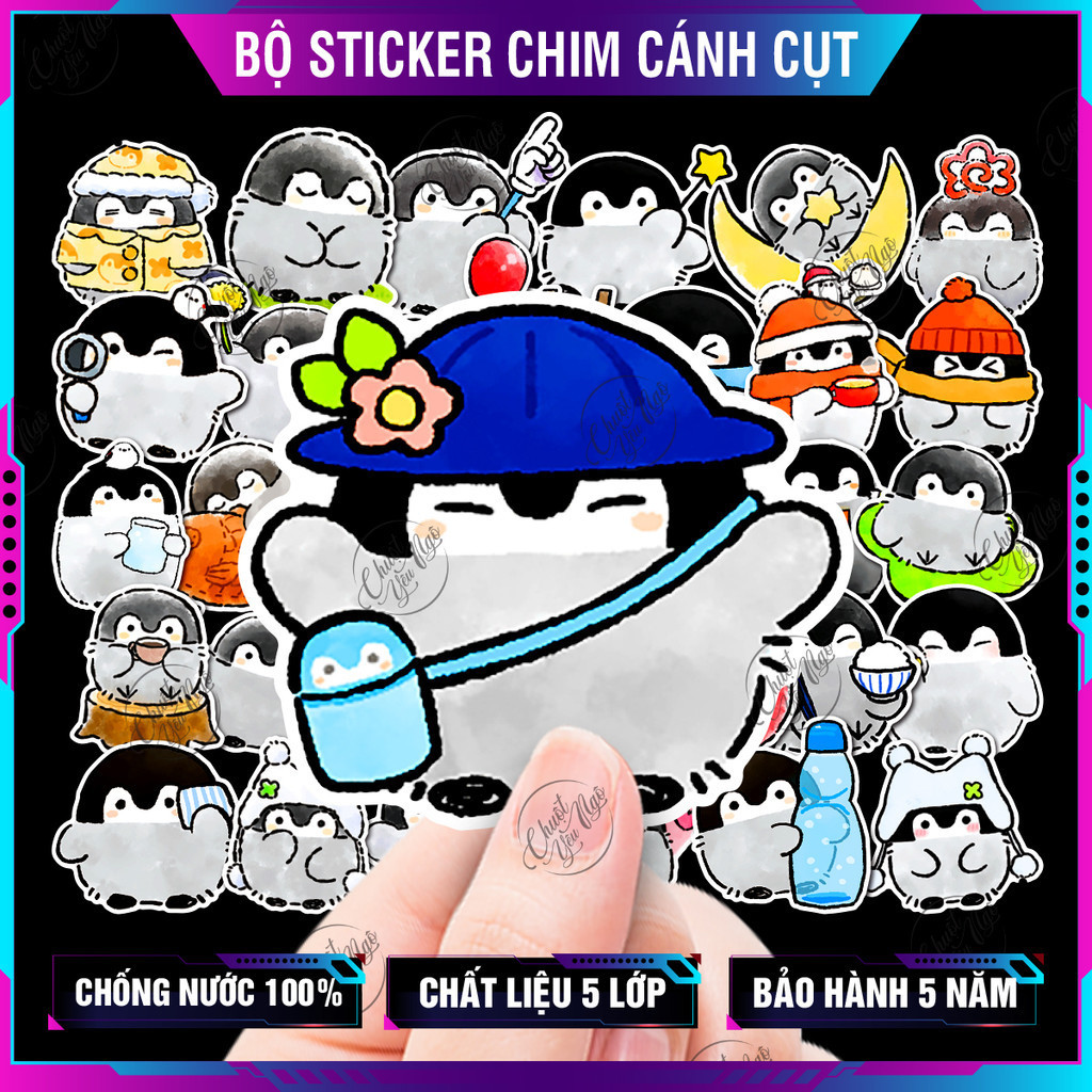 Combo 10/50/100 sticker chim cánh cụt dễ thương hình dán trang trí ...