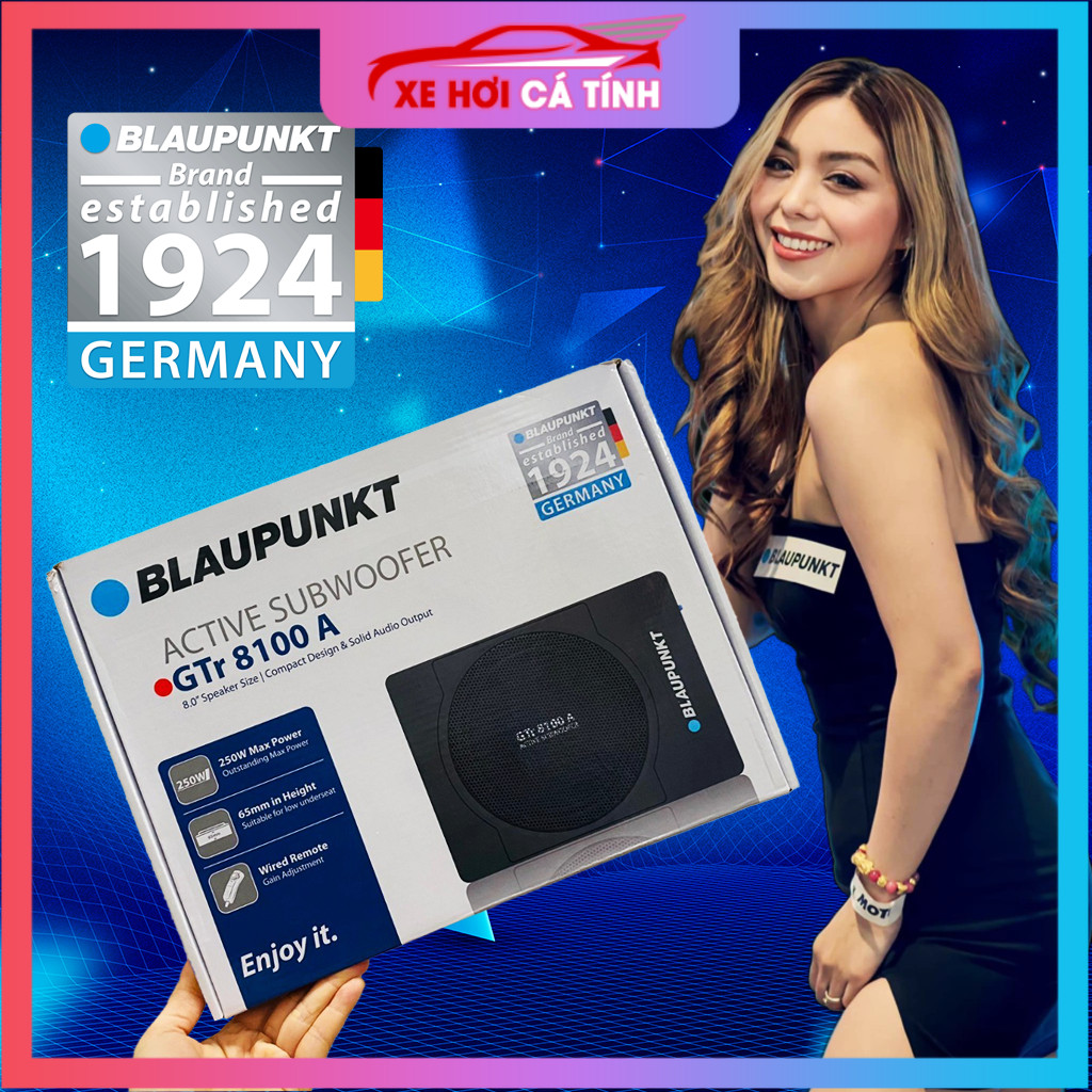 Loa sub gầm ghế ô tô Blaupunkt GTr 8100A, bass 8'', 250W, kích thước ...