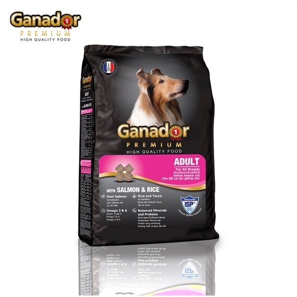COMBO 1 GÓI GANADOR SALMON & RICE 400G + PATE GANADOR 120G (1 COMBO ...