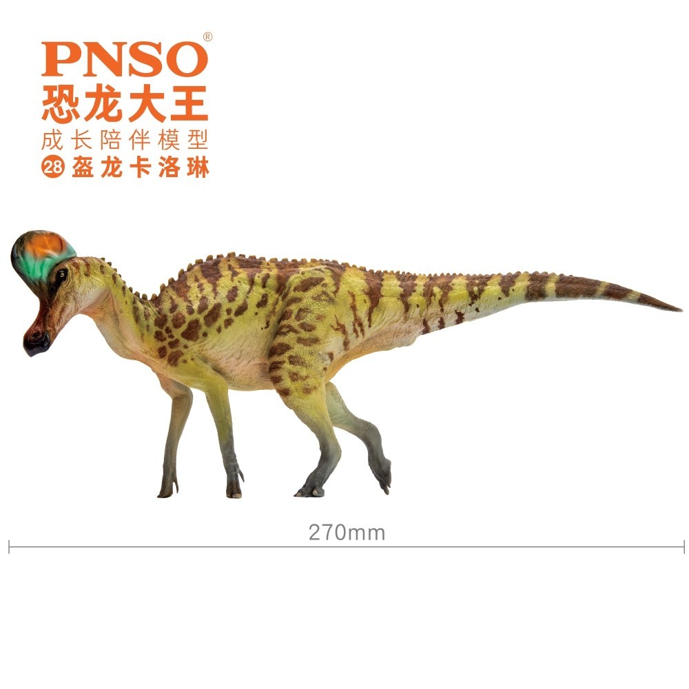 Mũ bảo hiểm PNSO Dragon Caroline Dinosaur King Growing mô hình đồng ...