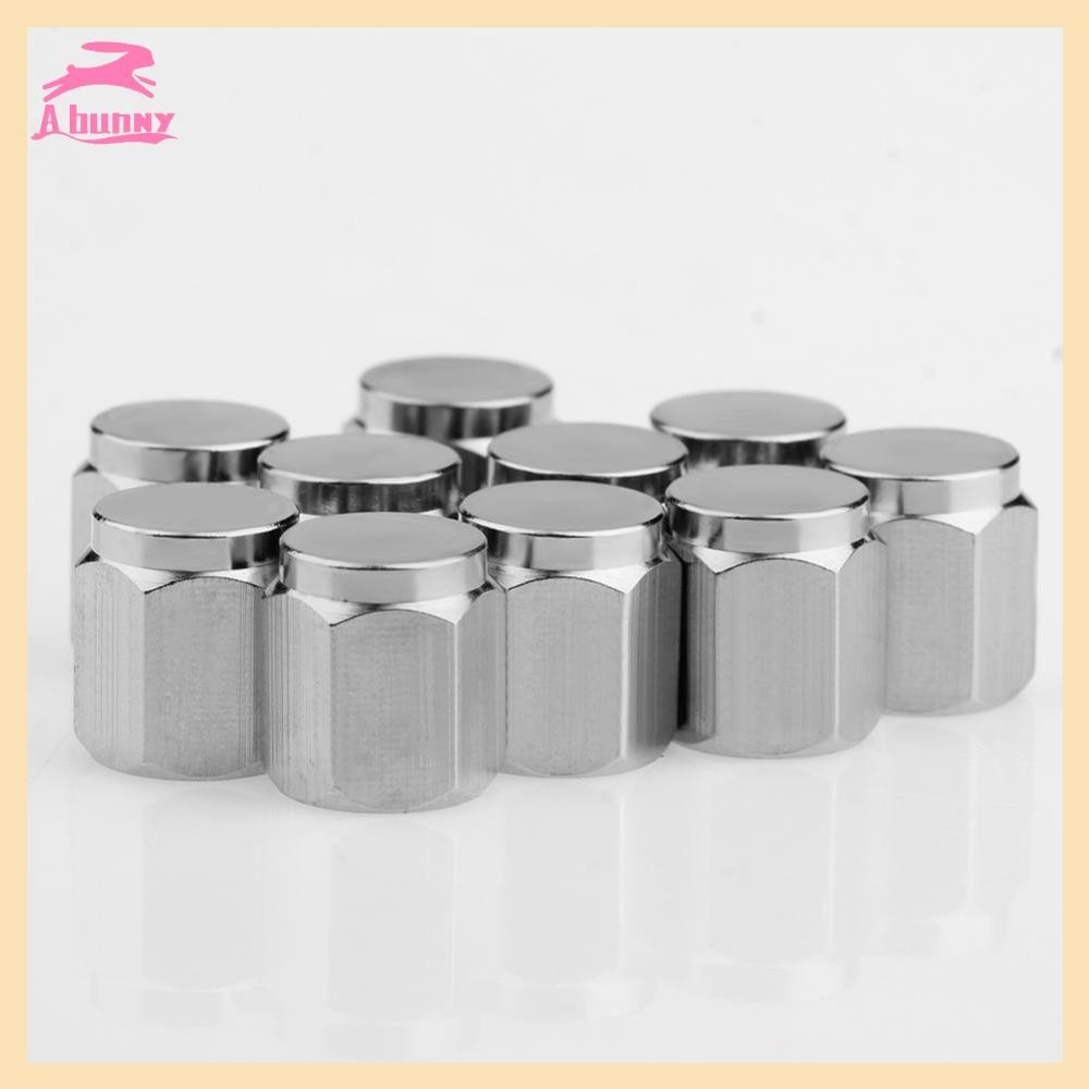 [Abunny.vn] 10 chiếc nắp van lốp bánh xe bằng đồng Chrome chống mài mòn ...
