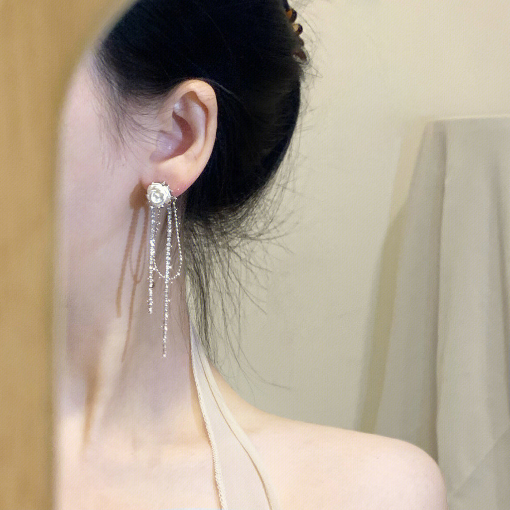 Bông tai dài kim bạc S925 2024 Bông tai Hàn Quốc mới AB | Shopee Việt Nam