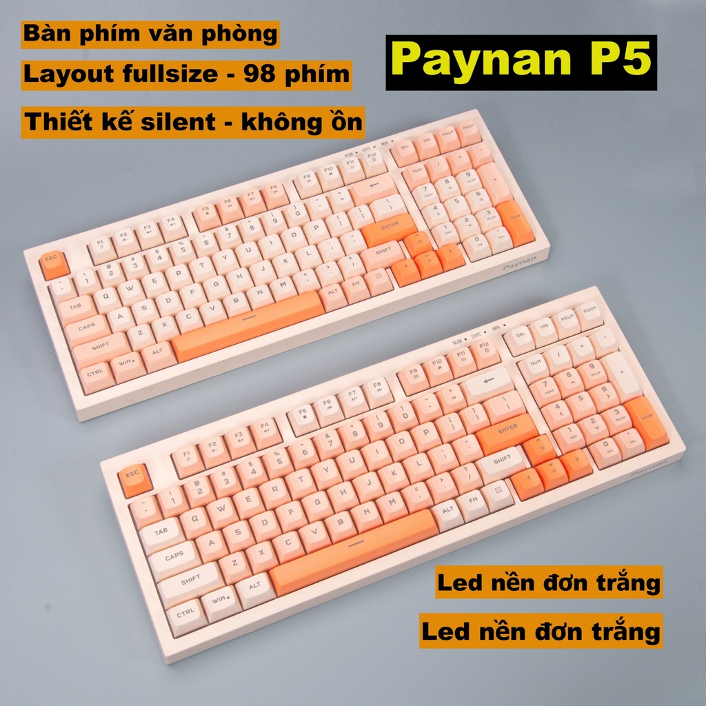 Bàn phím văn phòng P5 Paynan Peachy chống ồn kết nối cáp rời 98 phím ...