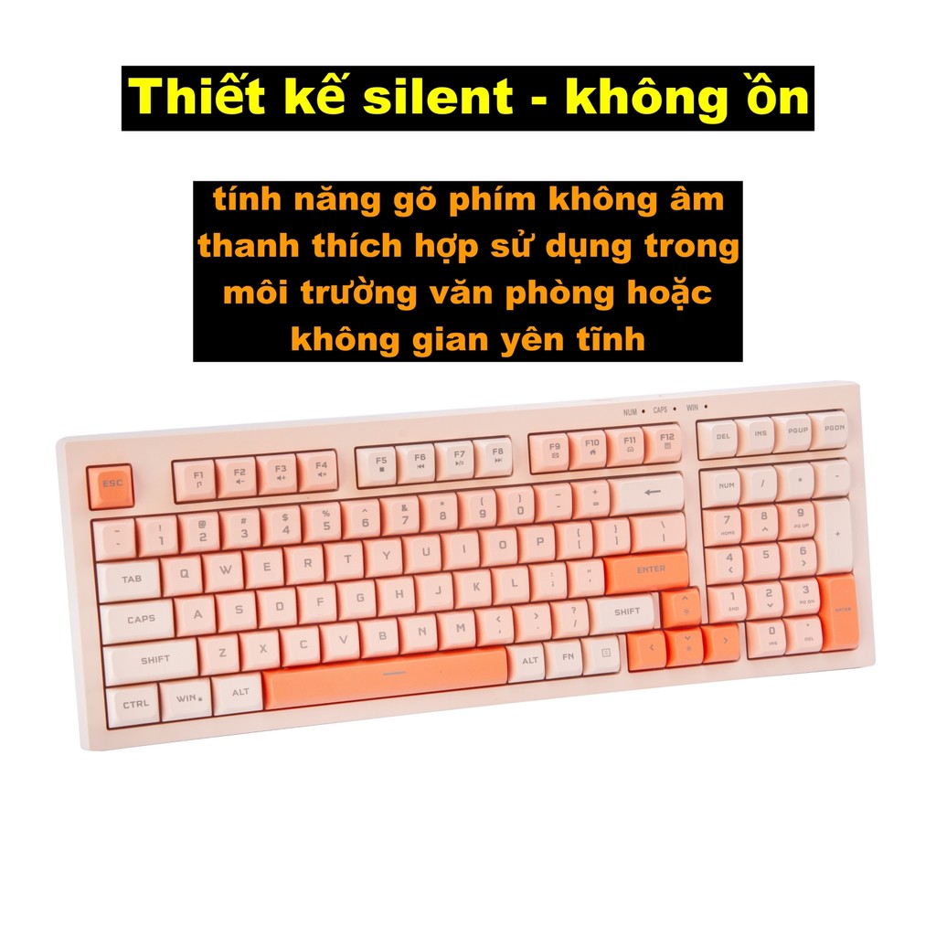 Bàn phím văn phòng P5 Paynan Peachy chống ồn kết nối cáp rời 98 phím ...