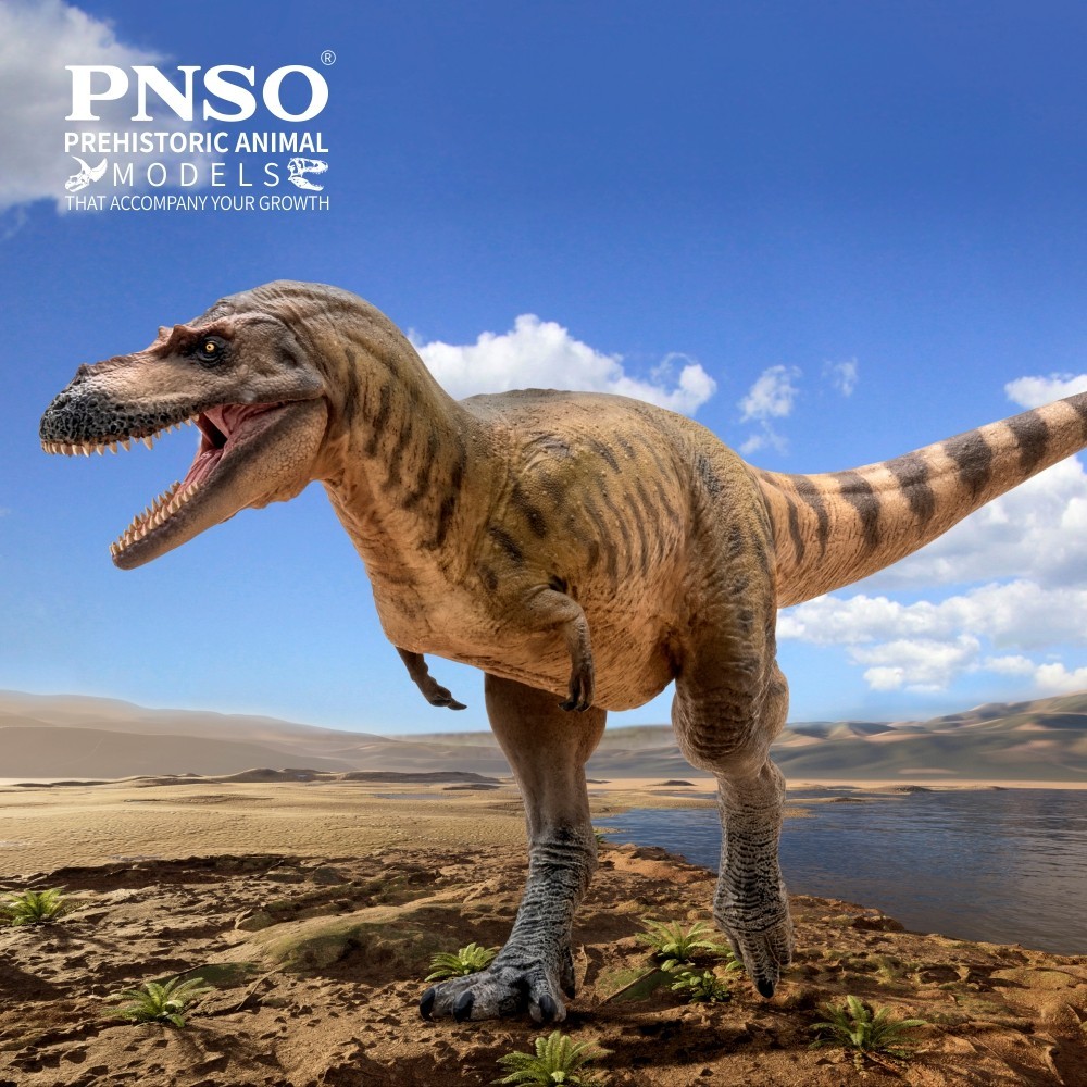 Mô hình khủng long thời tiền sử PNSO: 72 Wally The Albertosaurus | Shopee Việt Nam