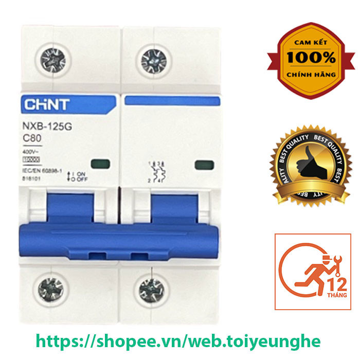 Aptomat MCB Chint NXB-125G 2 pha 80A 100A 125A XÁC TO NXB-125 2P MCB ĐIỆN LỰC | Shopee Việt Nam